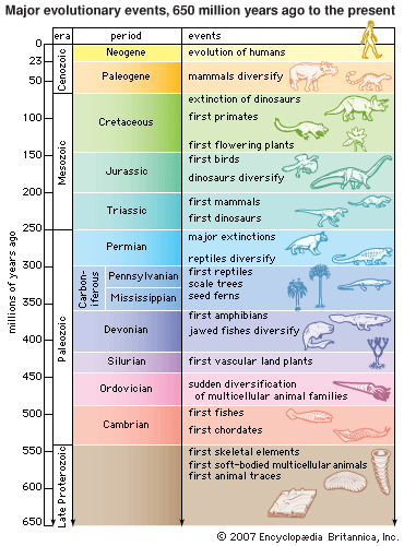 EVOLUTION: No Missing Link – The TRUTH SOURCE